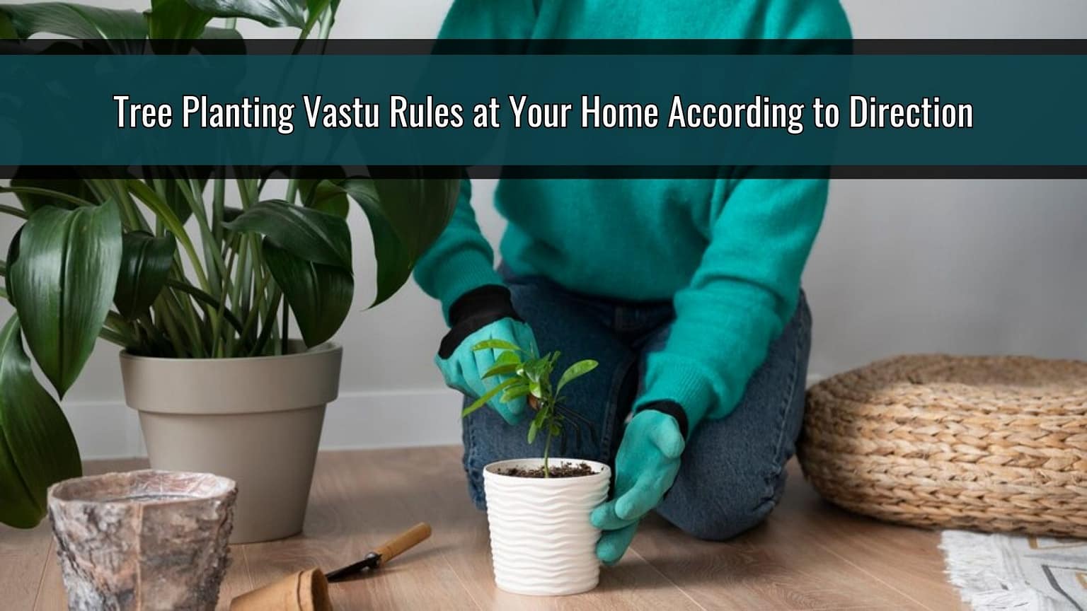 Tree Planting Vastu Rules at Your Home According to Direction